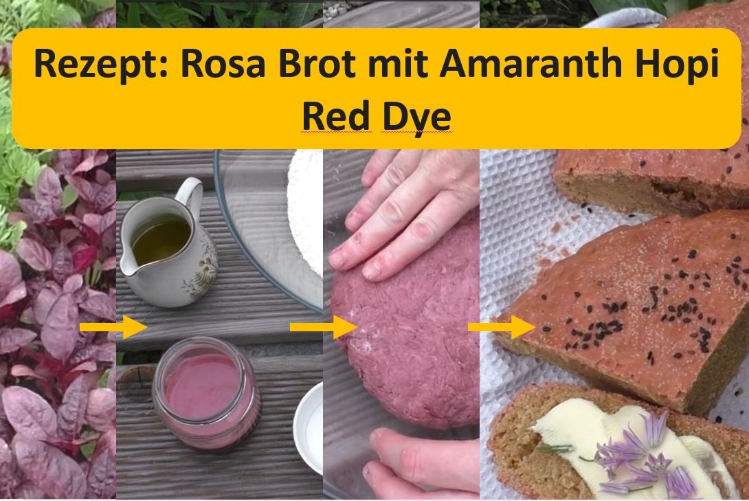 Selbstversorgung: Rezept: rosa Brot mit Amaranth Hopi Red Dye :: Ueberleben im Freiraum